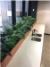 Artificial plants for Office plants
